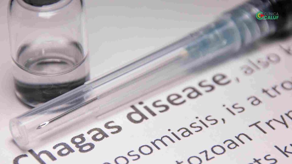 Doença de Chagas: Transmissão, Sintomas e Tratamento - Clínica Caluf